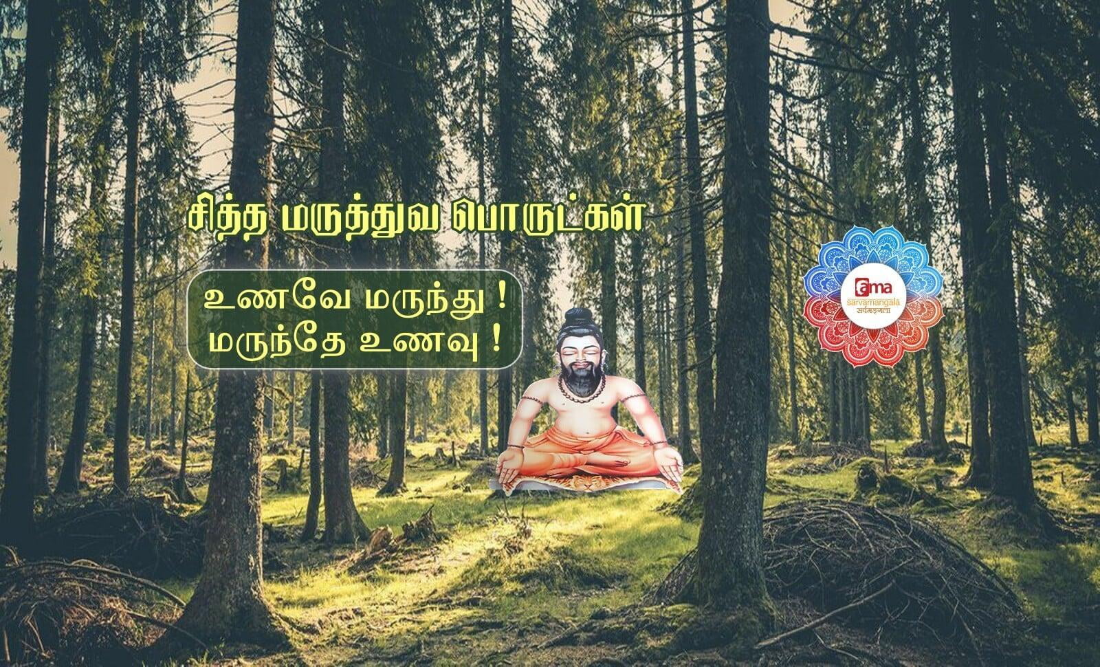 Blog: What is Siddha Medicine? | Ama Sarvamangala Shop